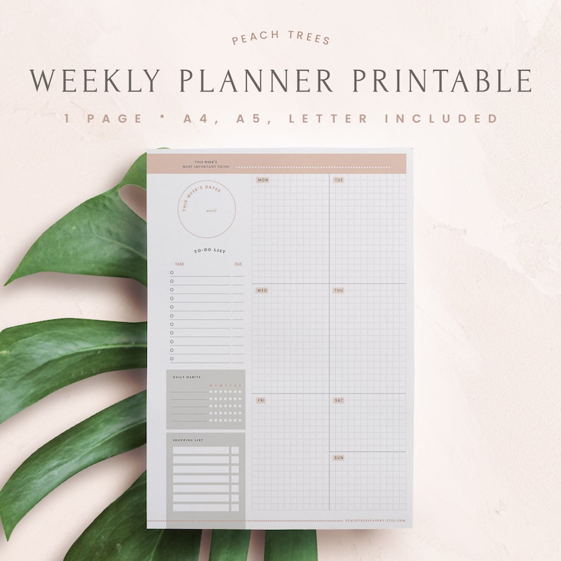 Weekly Grid Planner Printable, Week Organizer, A4 Weekly Planner ...