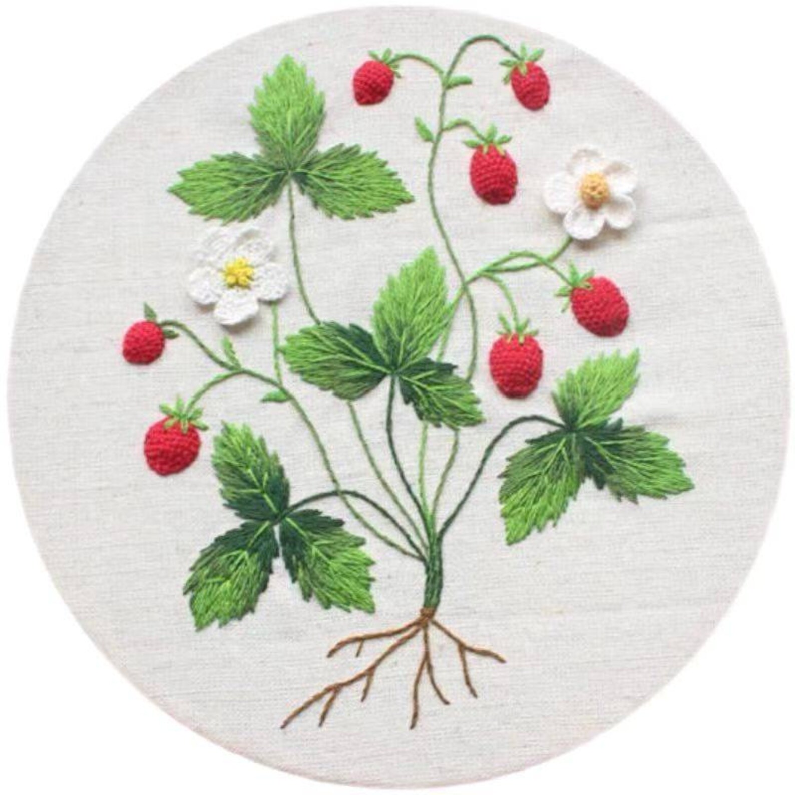 3D Strawberry Embroidery Kit3d Plant Embroideryflower - Etsy