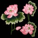 Three Style Lotus Iron on Patch /lotus Leave Patch lotus - Etsy