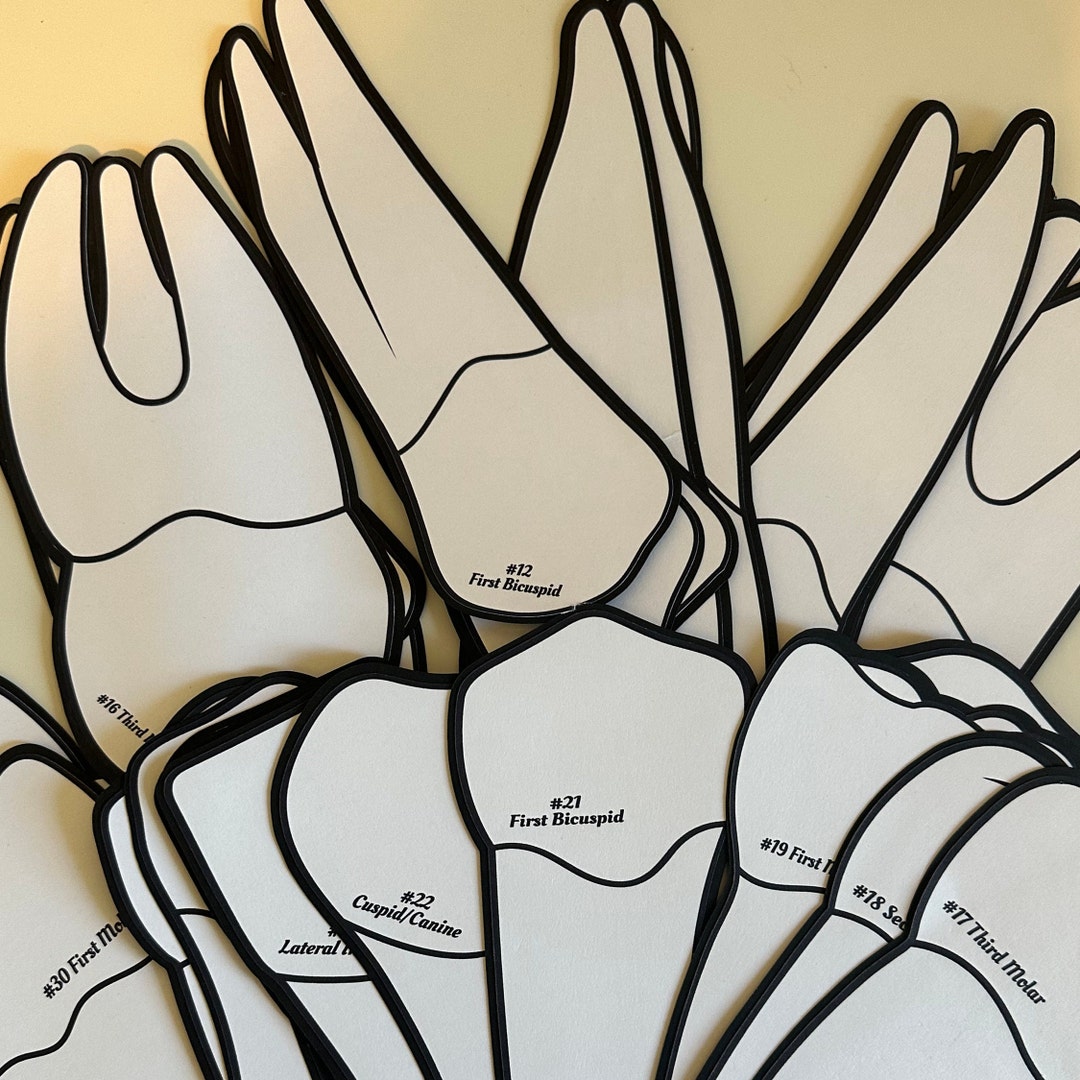 Dental Teeth SVG, Dental Assistant SVG, Dental Hygienist SVG Download ...