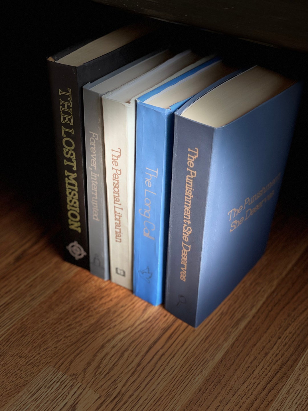 Custom Minimalistic Aesthetic Book Rebinds - Etsy