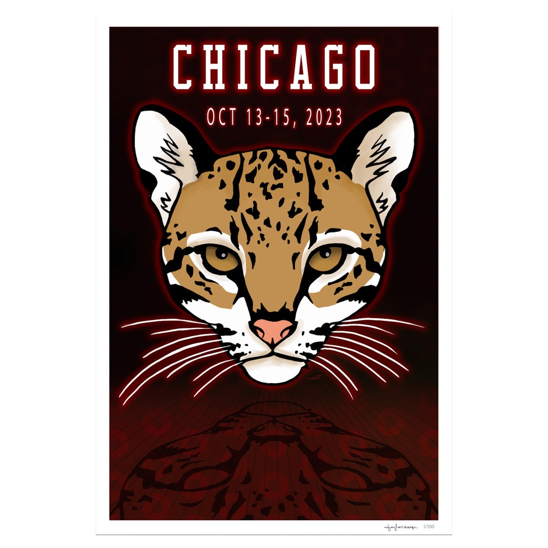Phish Chicago 2023 Fall Tour Poster - Etsy