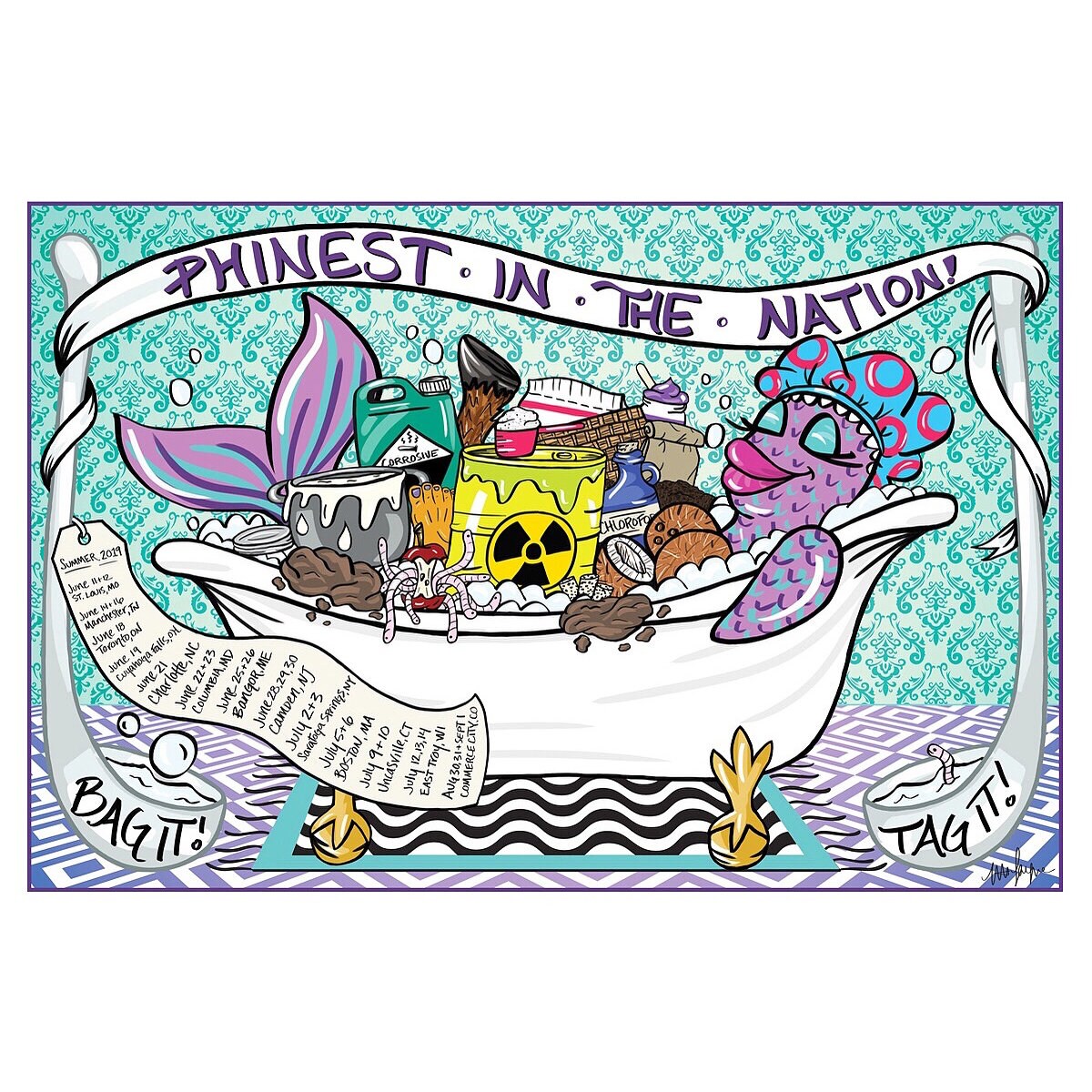 Reba Phish Summer 2019 Tour Poster Print Bag It Tag IT - Etsy