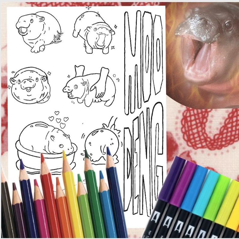 Moo Deng Hippo Coloring Sheet – Moo Deng Hippos Lovers Gift, Relaxing ...