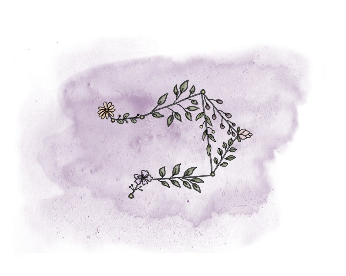 Libra Floral Zodiac Constellation - Astrology Wall Art, Sun Sign, Star ...