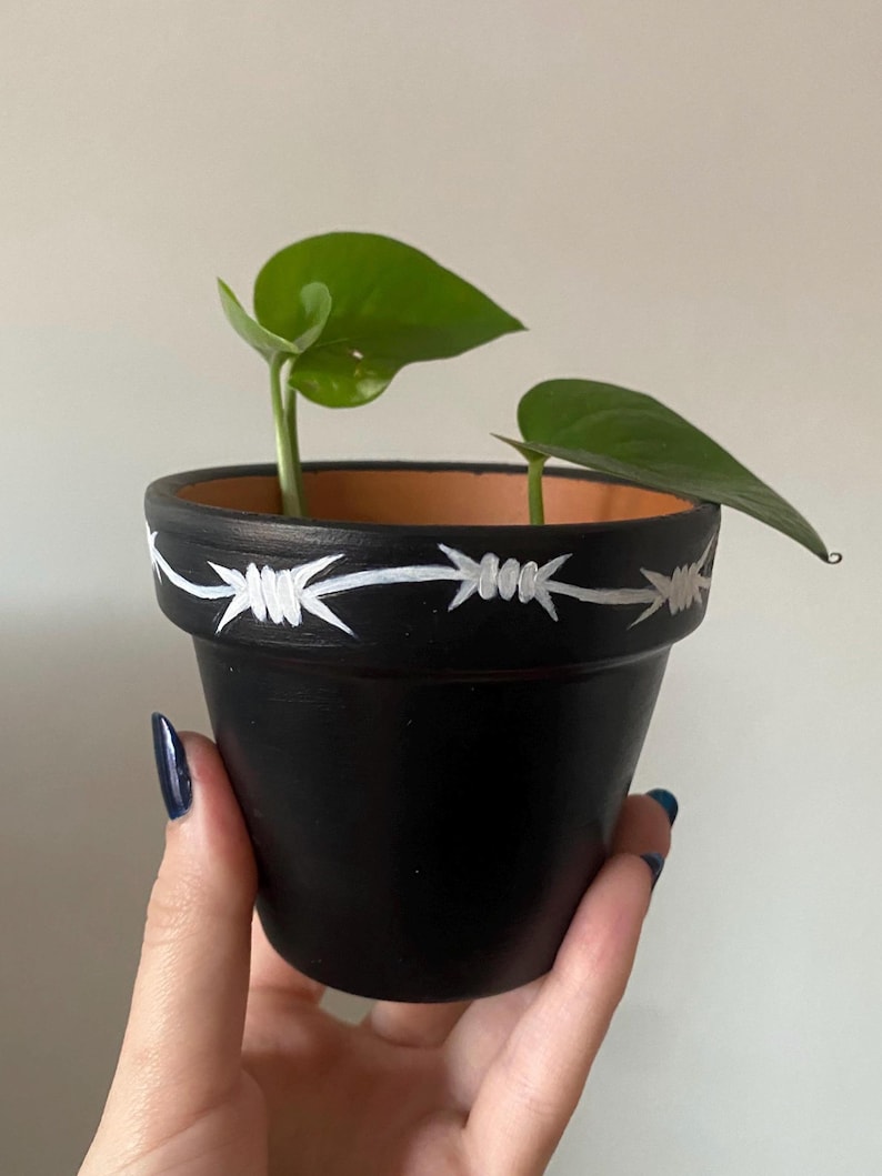Barbed Wire Terracotta Plant Pot - Etsy