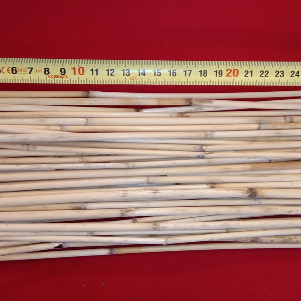 Reed - Etsy