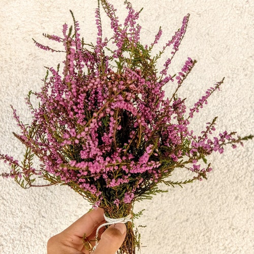Bouque of Heather Dried Purple Flowers Bouquet of Purple - Etsy