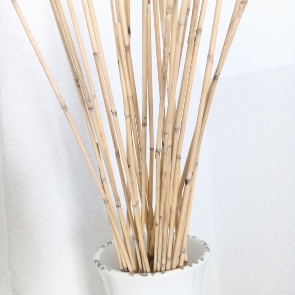 Dried Reeds - Etsy