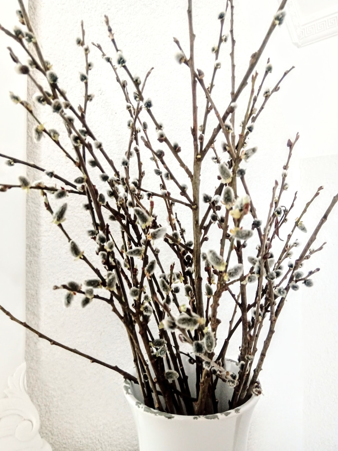 20 St Dried Pussy Willow Branches Length 40cm 16'' Crafts Spring Decor ...