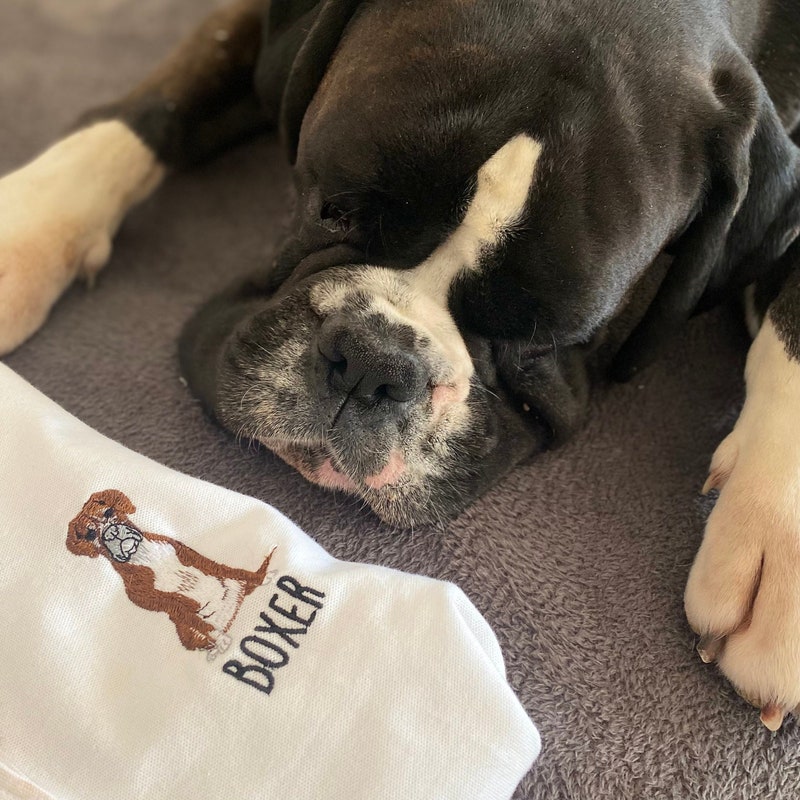 Embroidered Boxers - Etsy