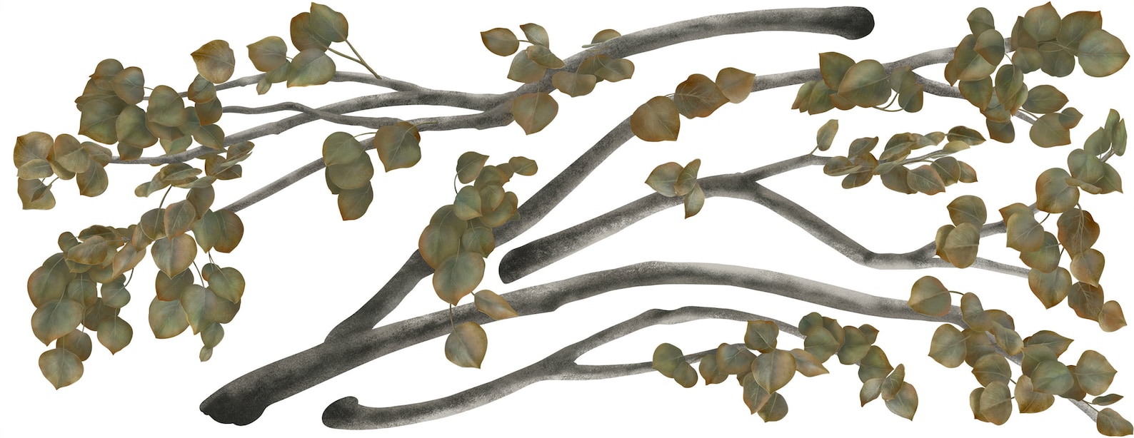 Peel and Stick Aspen Trees, Woodland, or Forest, Wall Decals for a Boy ...