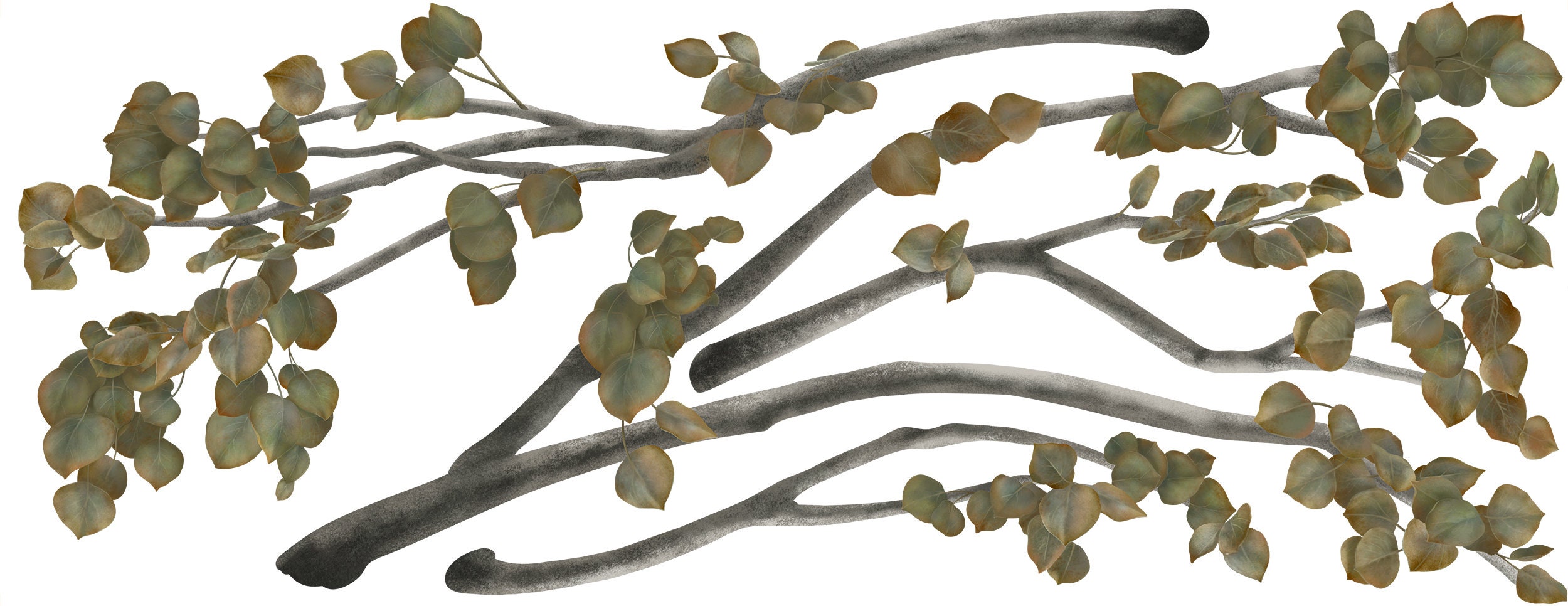 Peel and Stick Aspen Trees Woodland or Forest Wall Decals - Etsy