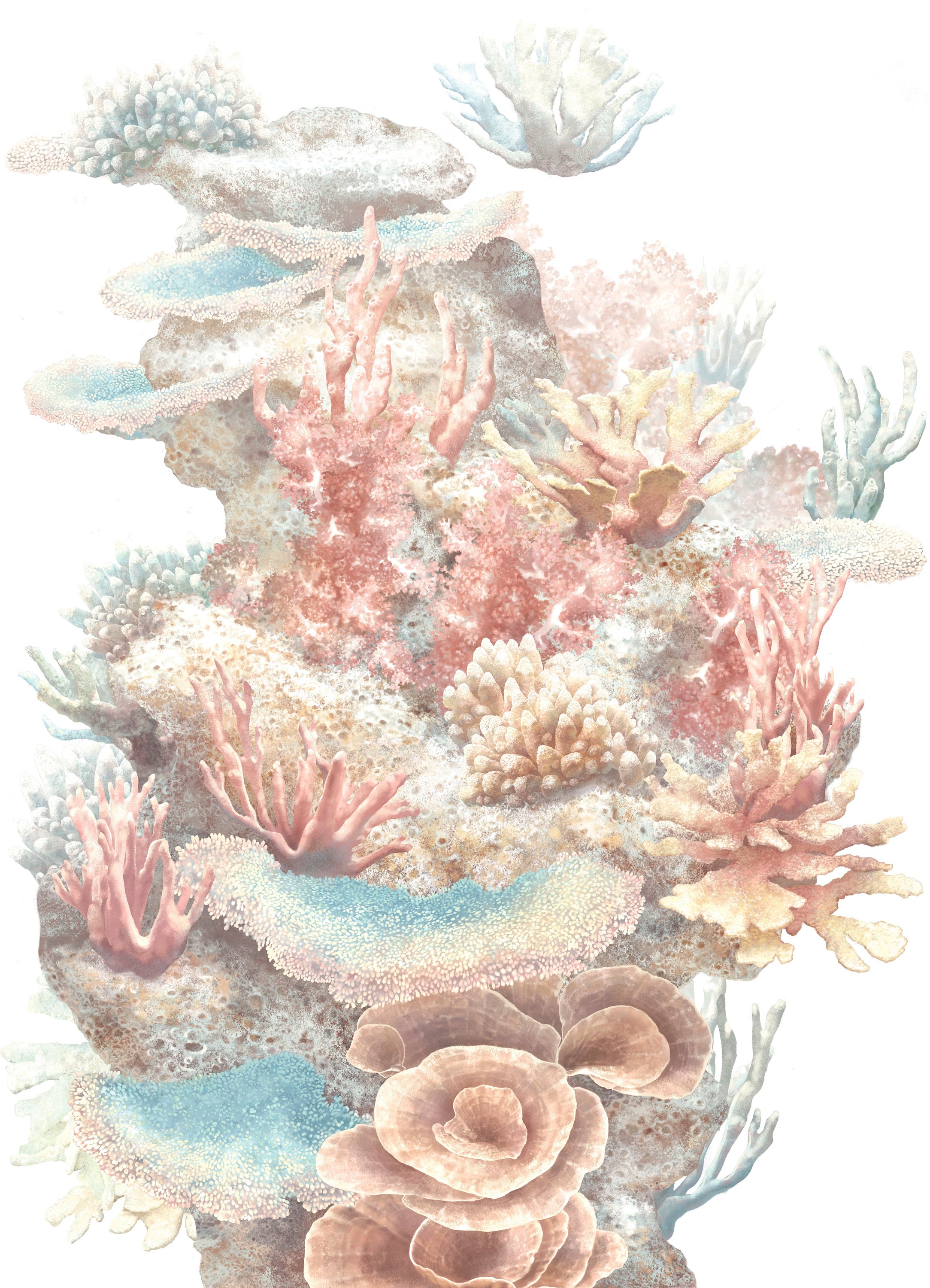 Peel and Stick Sea Coral Wall Decals for a Mermaid or Ocean | Etsy