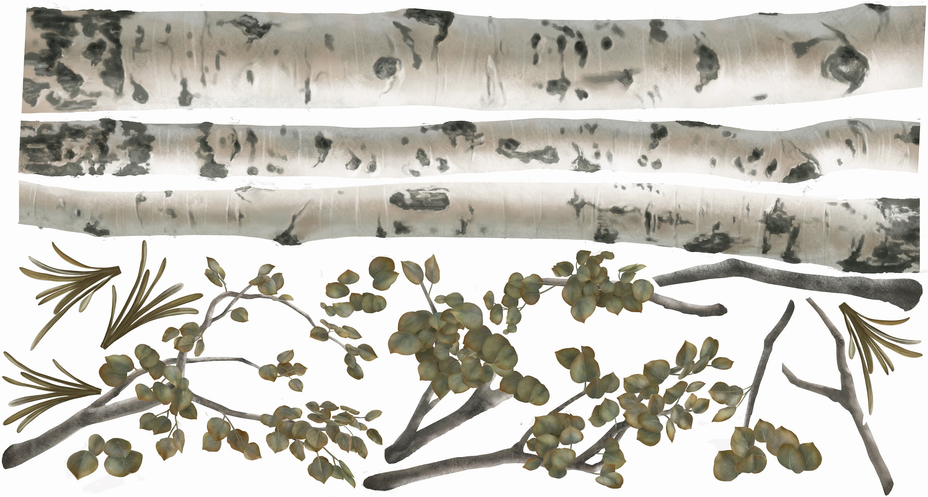 Peel and Stick Aspen Trees, Woodland, or Forest, Wall Decals for a Boy ...
