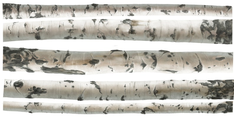 Peel and Stick Aspen Trees Woodland or Forest Wall Decals - Etsy