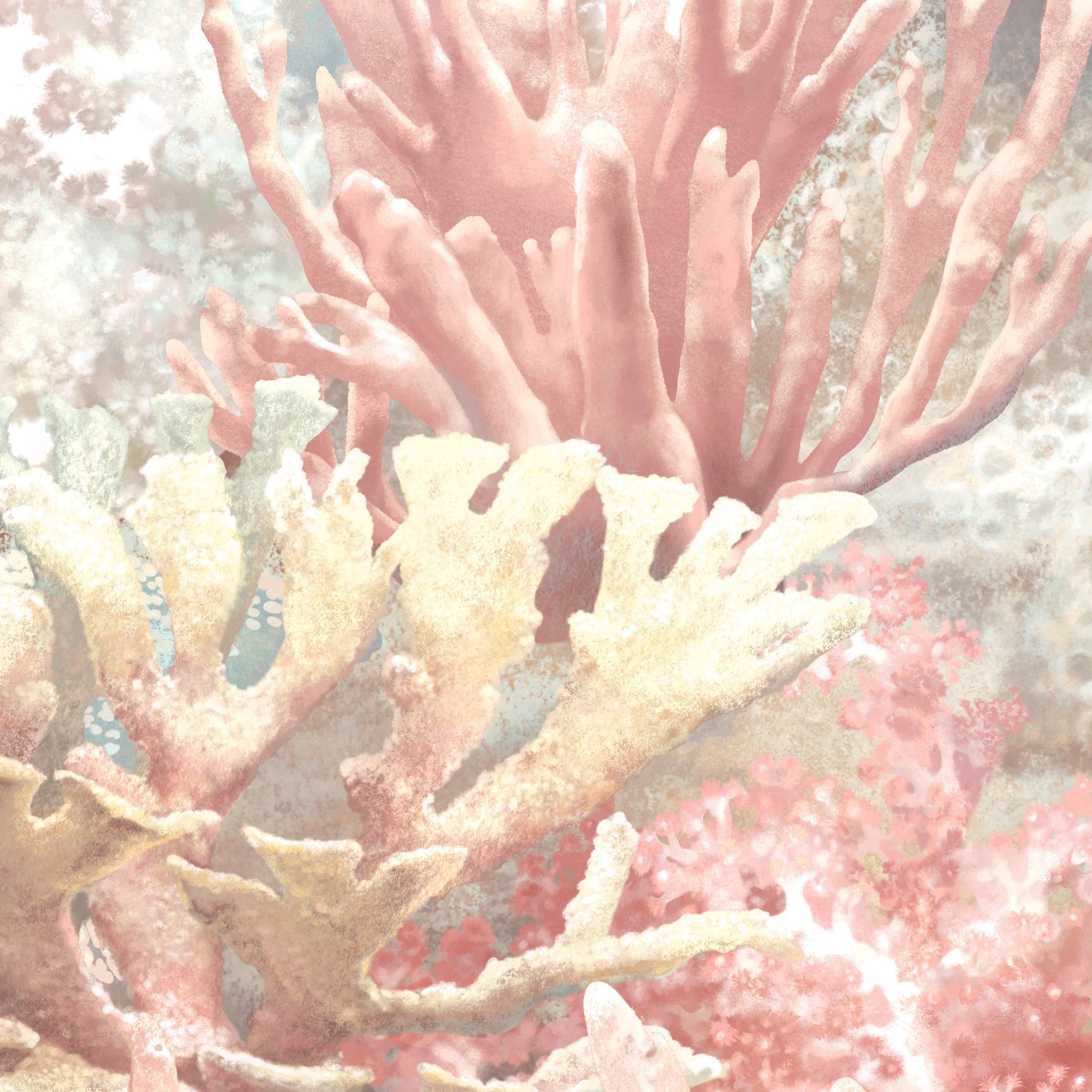 Peel and Stick Sea Coral Wall Decals for a Mermaid or Ocean | Etsy