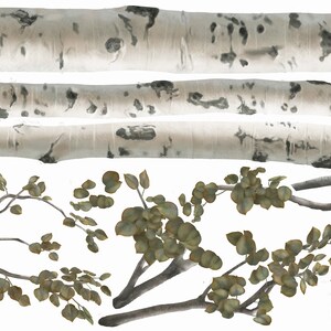 Peel and Stick Aspen Trees, Woodland, or Forest, Wall Decals for a Boy ...