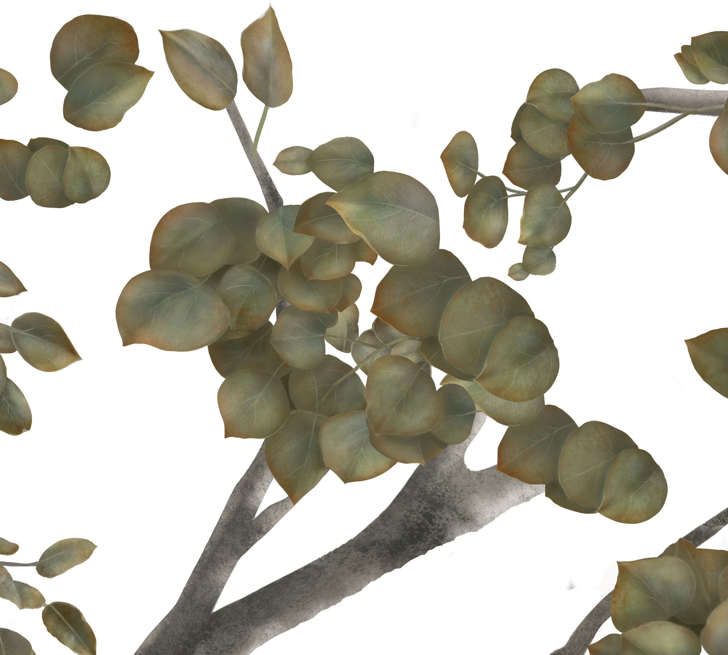 Peel and Stick Aspen Trees Woodland or Forest Wall Decals - Etsy