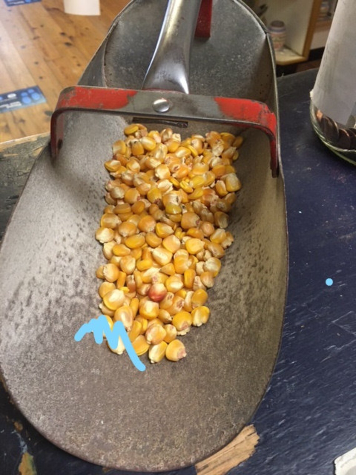 Heirloom Yellow Hickory King Open Pollinated Corn Seeds Non-gmo - Etsy