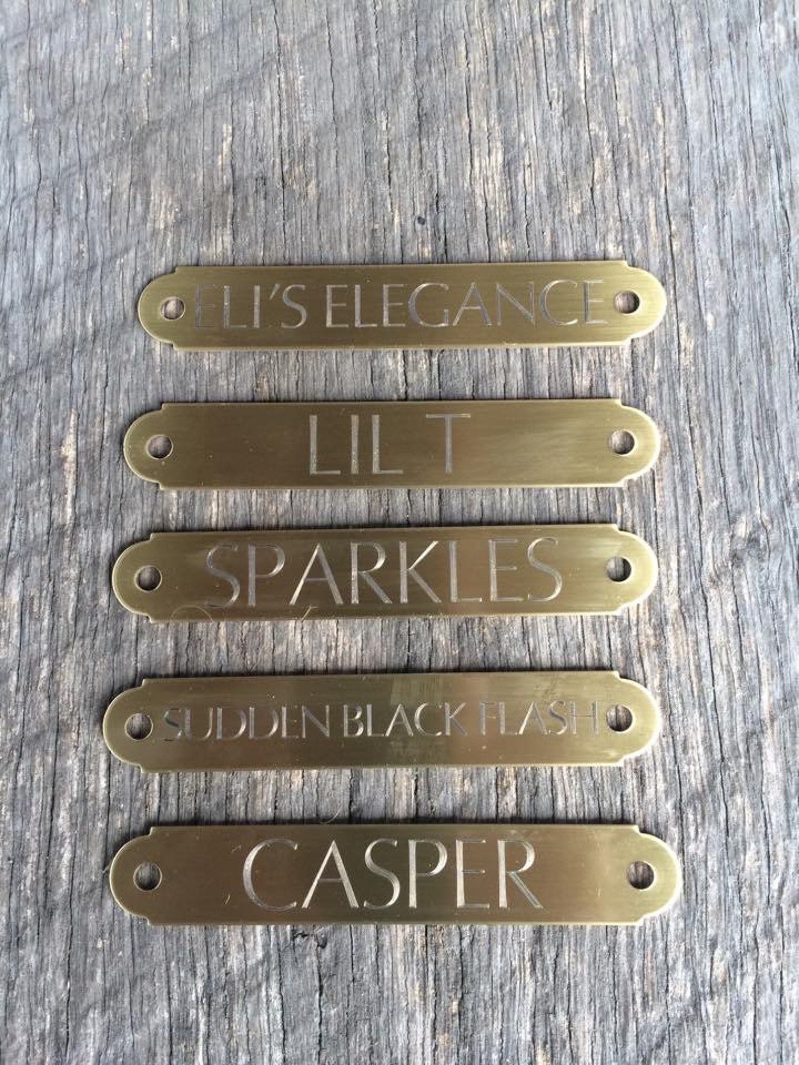 Personalized Solid Brass Halter Plate Includes Brass Chicago Screws - Etsy