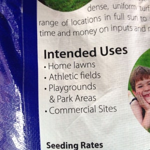 Falcons Tall Turf Fescue-a Three Falcon Blend Best Lawn Grass There Is ...
