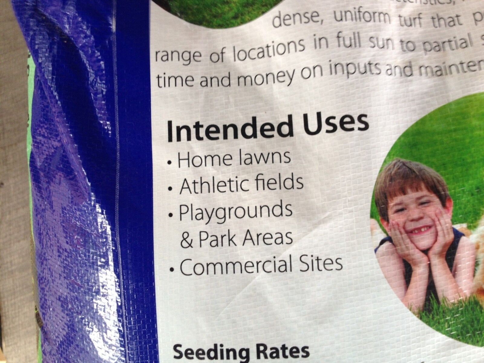 Falcons Tall Turf Fescue-a Three Falcon Blend Best Lawn Grass There Is ...