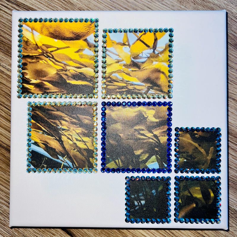 Kelp Forest Art - Etsy