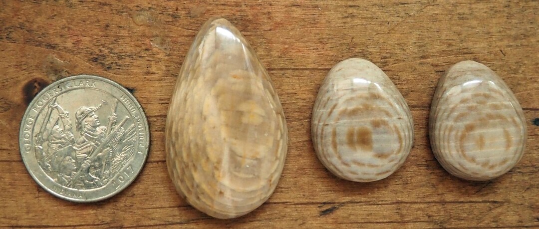 Badger Pocket Sycamore Pendant and Earring Cabochon Set - Etsy
