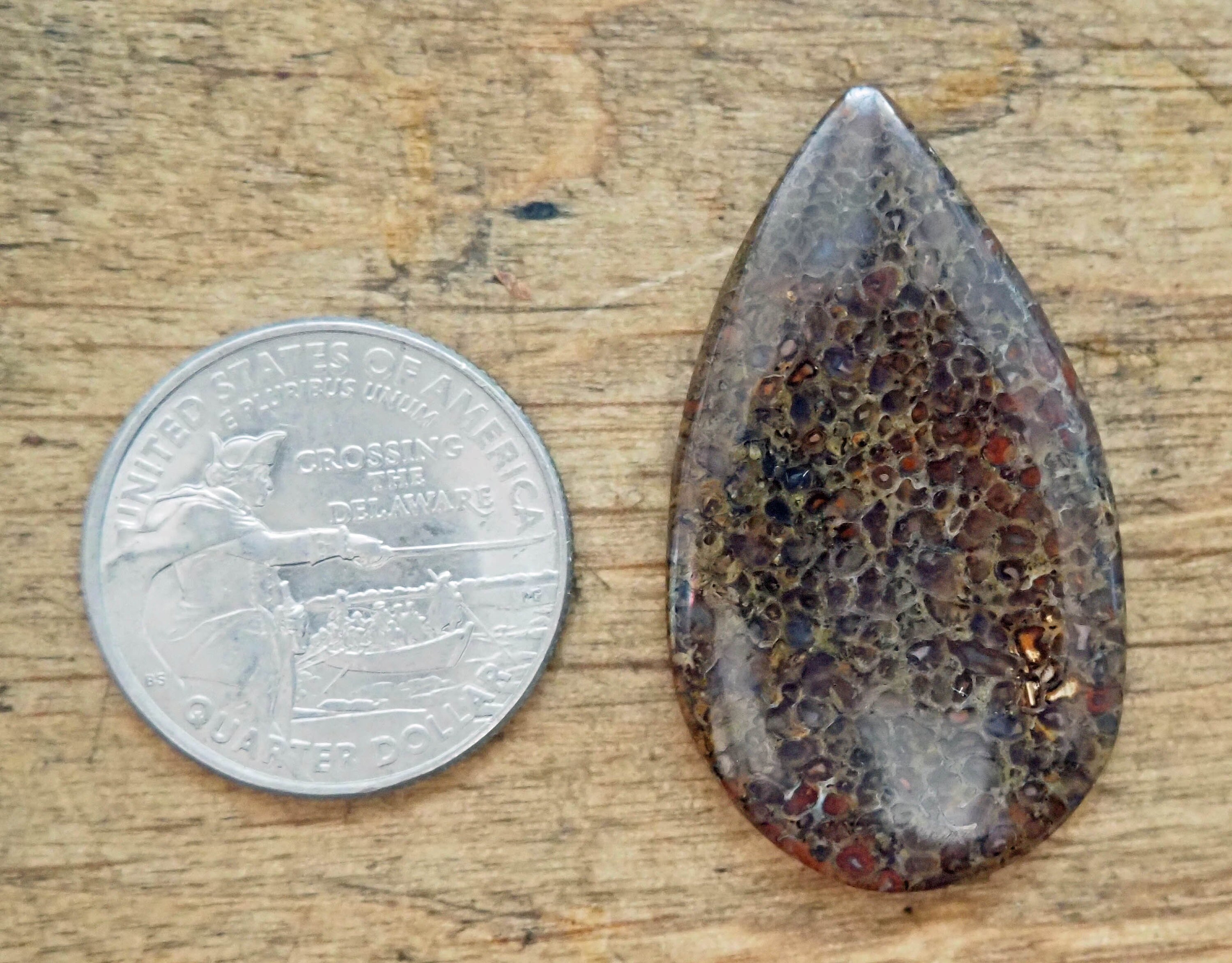 Dinosaur Bone Cabochon - Etsy