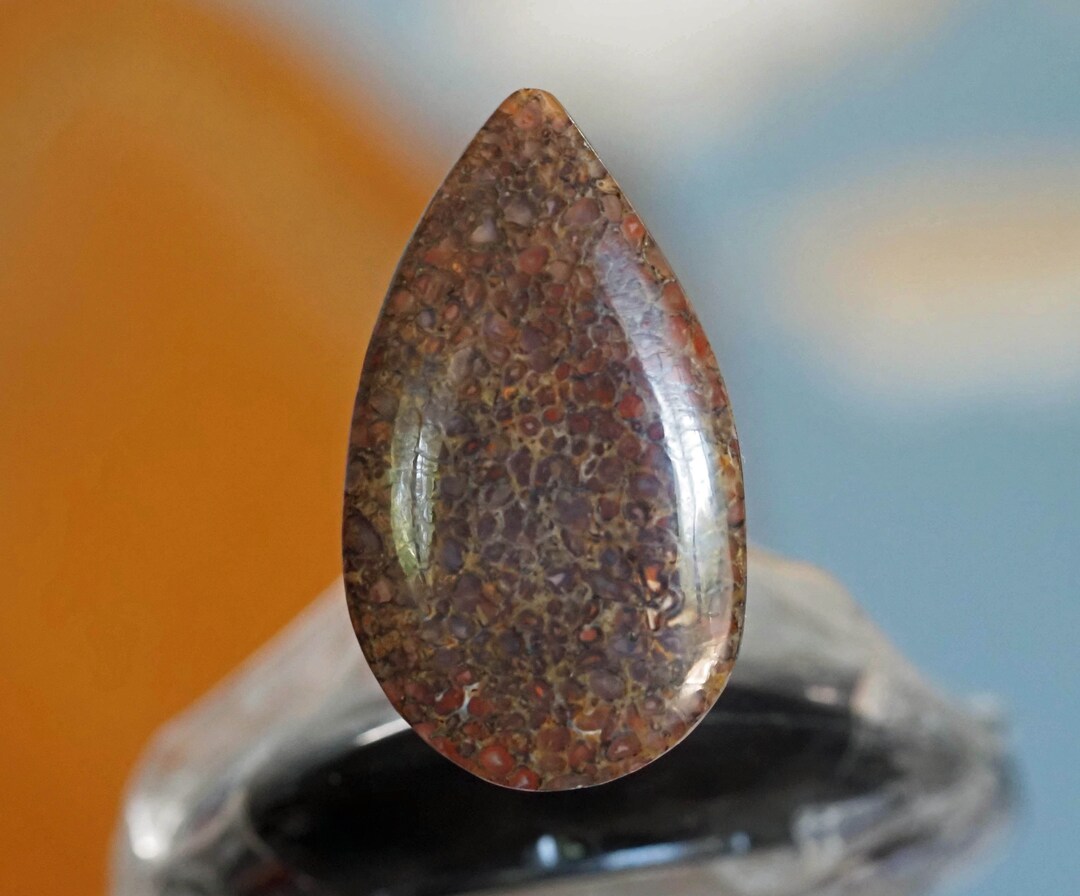 Dinosaur Bone Cabochon - Etsy