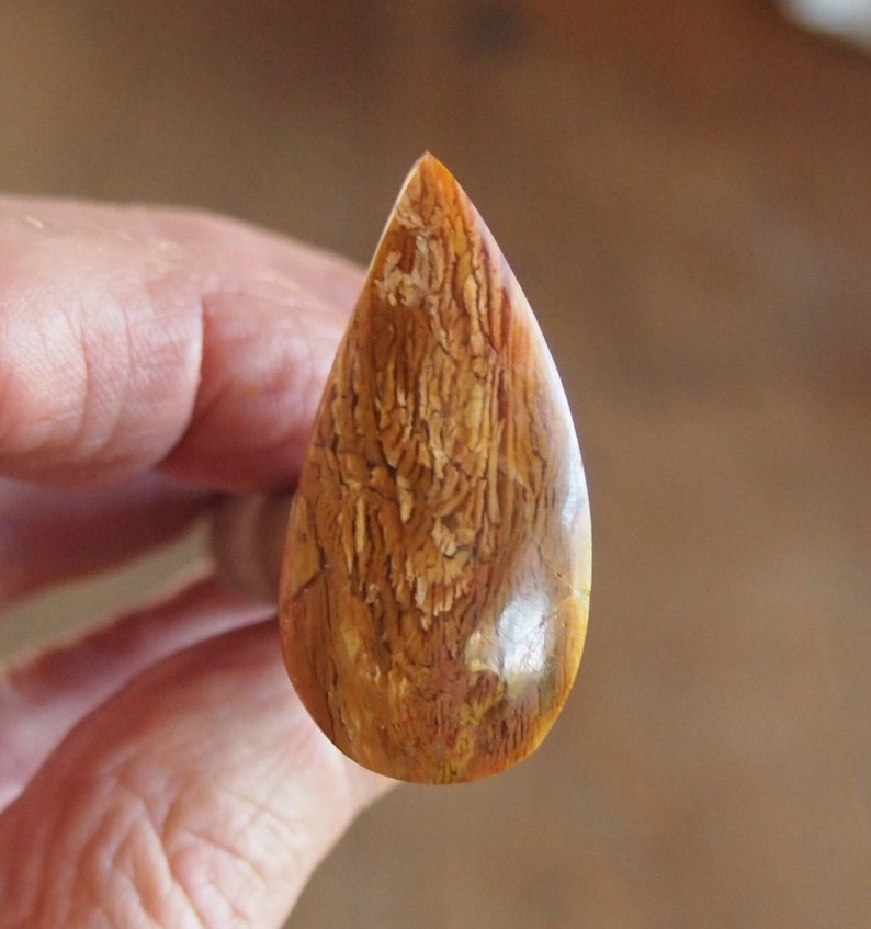 Howardite Cabochon Old Stock - Etsy