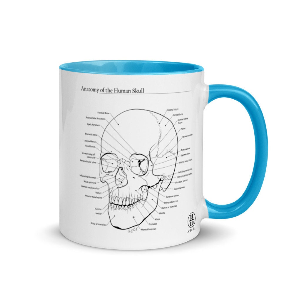 Anatomy 101 Mug | Etsy