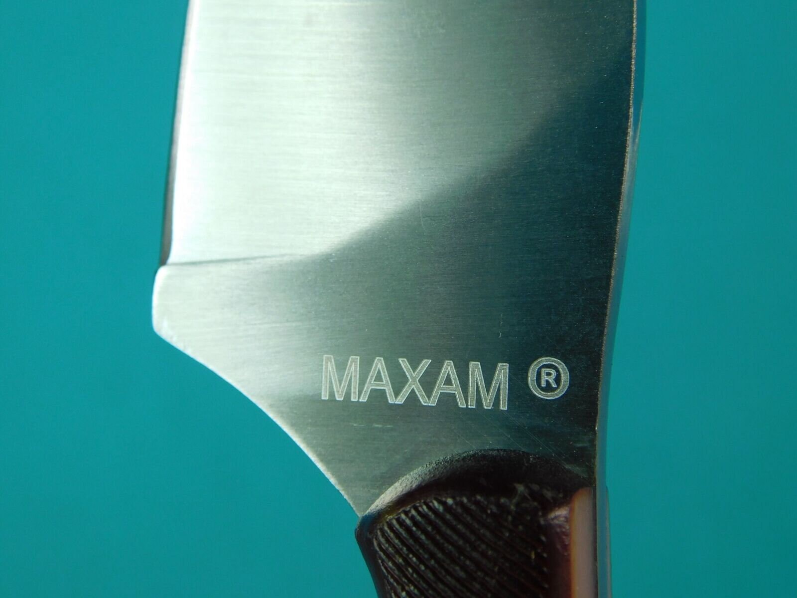 Maxam Skinner Hunting Knife W/ Sheath Box NEW - Etsy