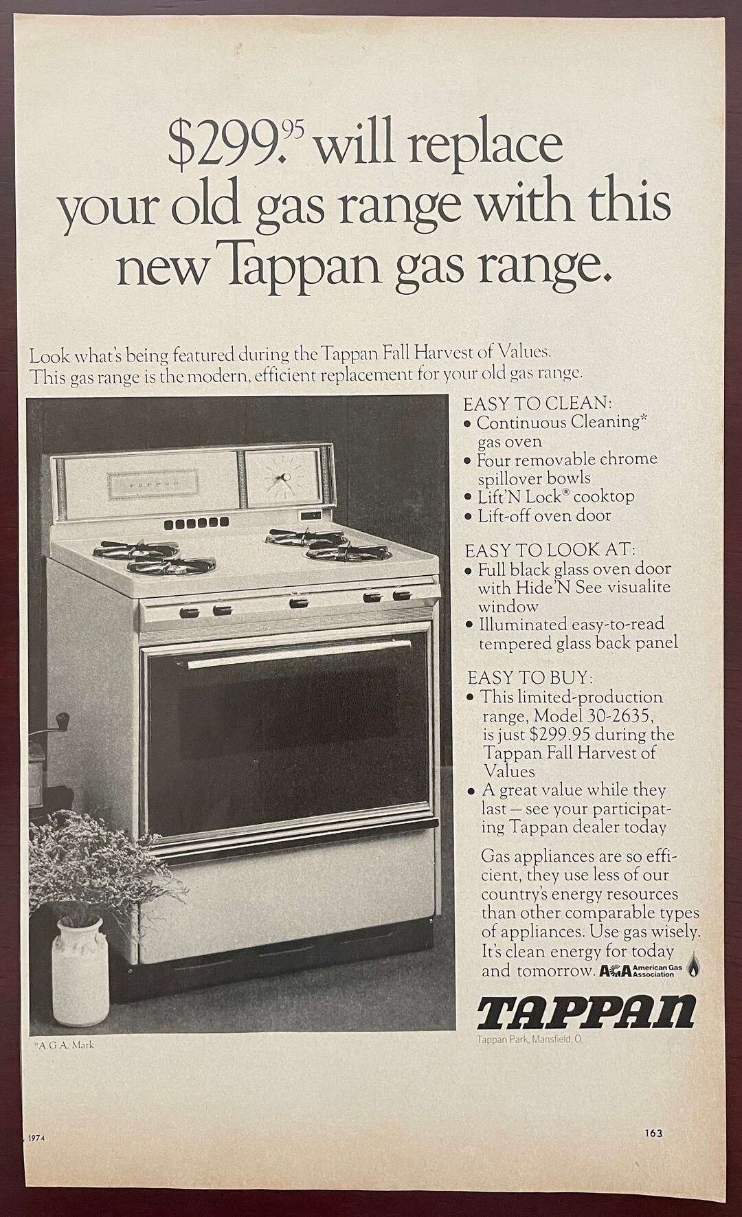 1974 Vintage Tapan Stove Ad Page, Gas Range Ad Print for Retro Kitchen ...