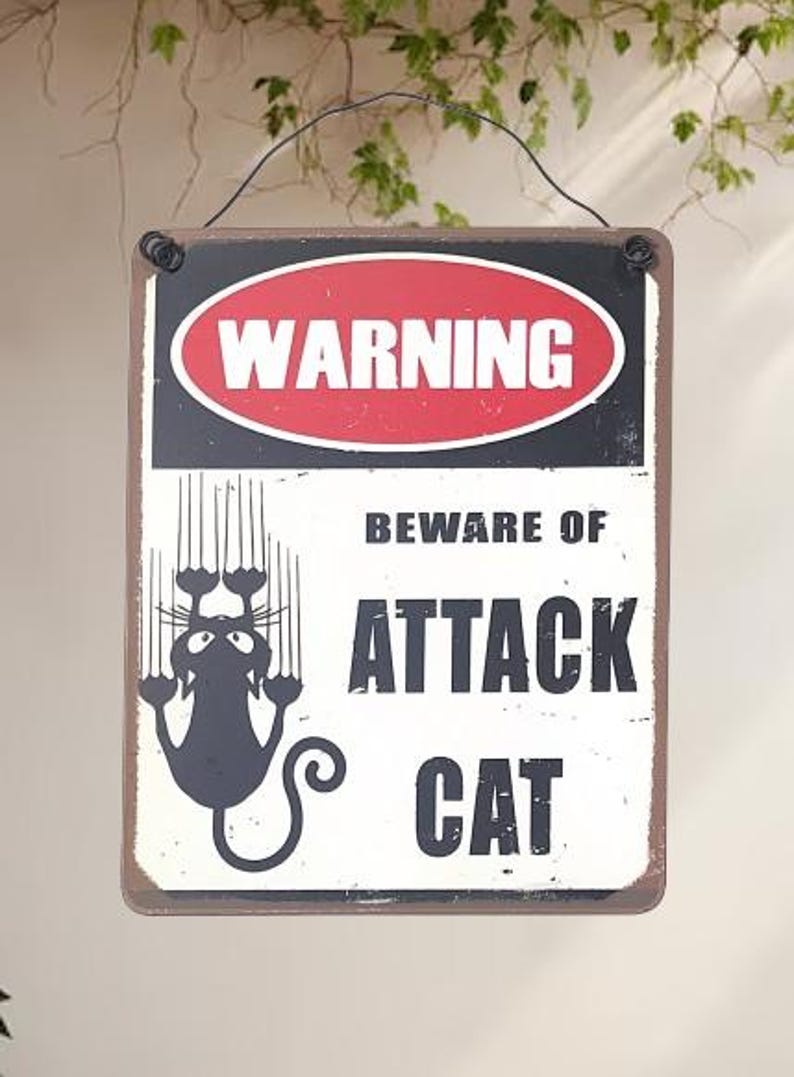Beware of Attack Cat Metal Hanging Sign - Etsy
