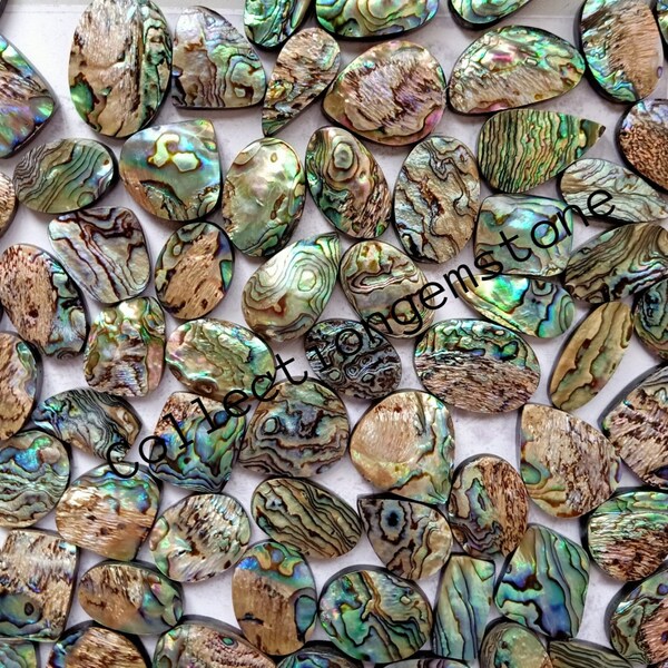 Abalone Shell - Etsy