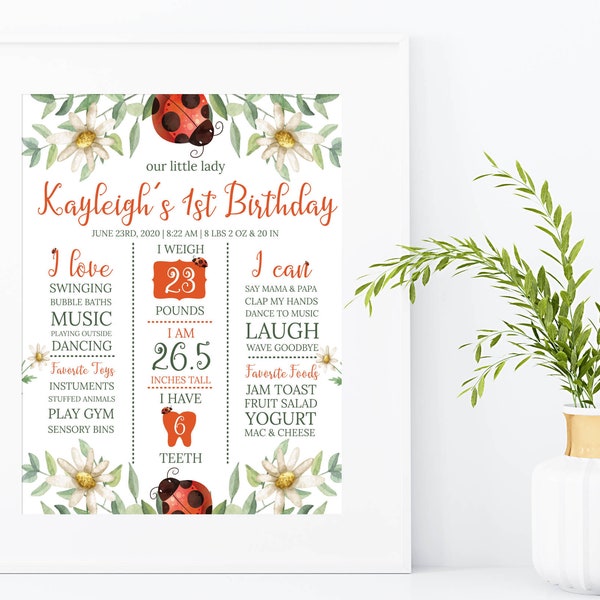 Ladybug 1st Birthday - Etsy