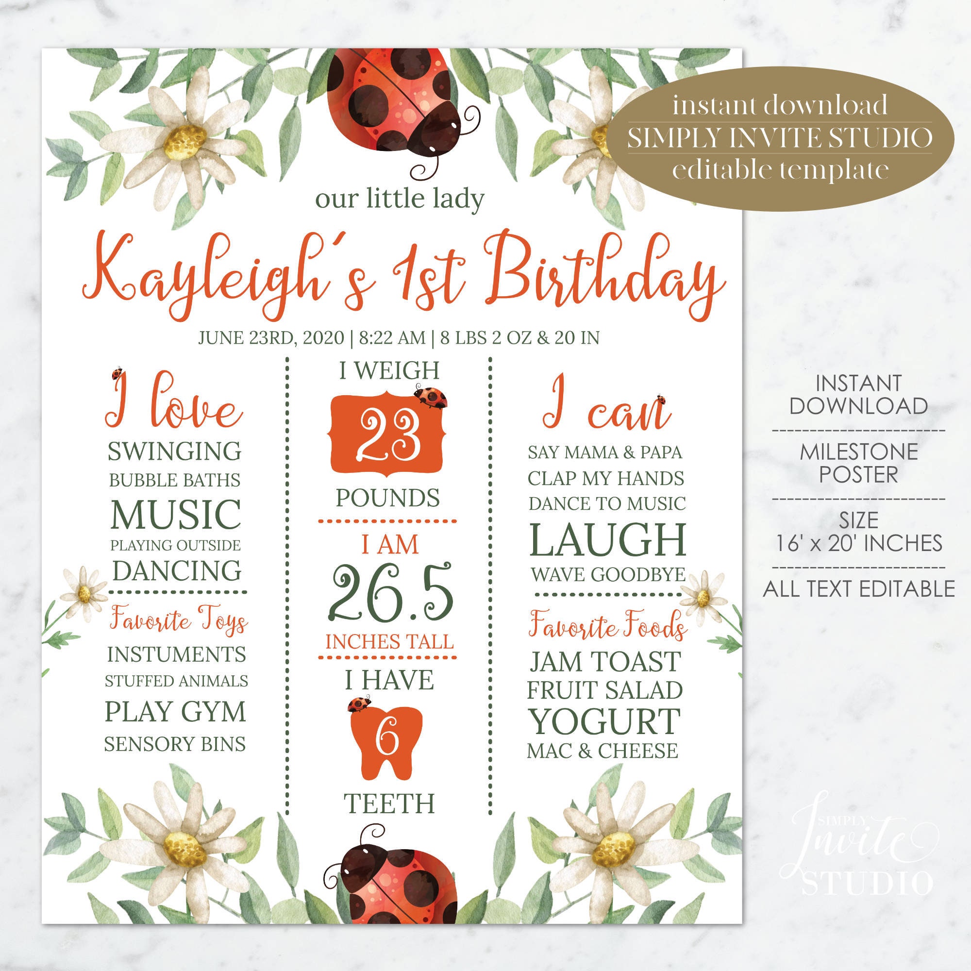 Ladybug 1st Birthday Milestone Poster, Editable Milestone Sign, 1st ...