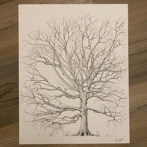 Bur Oak (quercus Macrocarpa), 11X14 Botanical Art, 8.5X11 Paper Prints ...