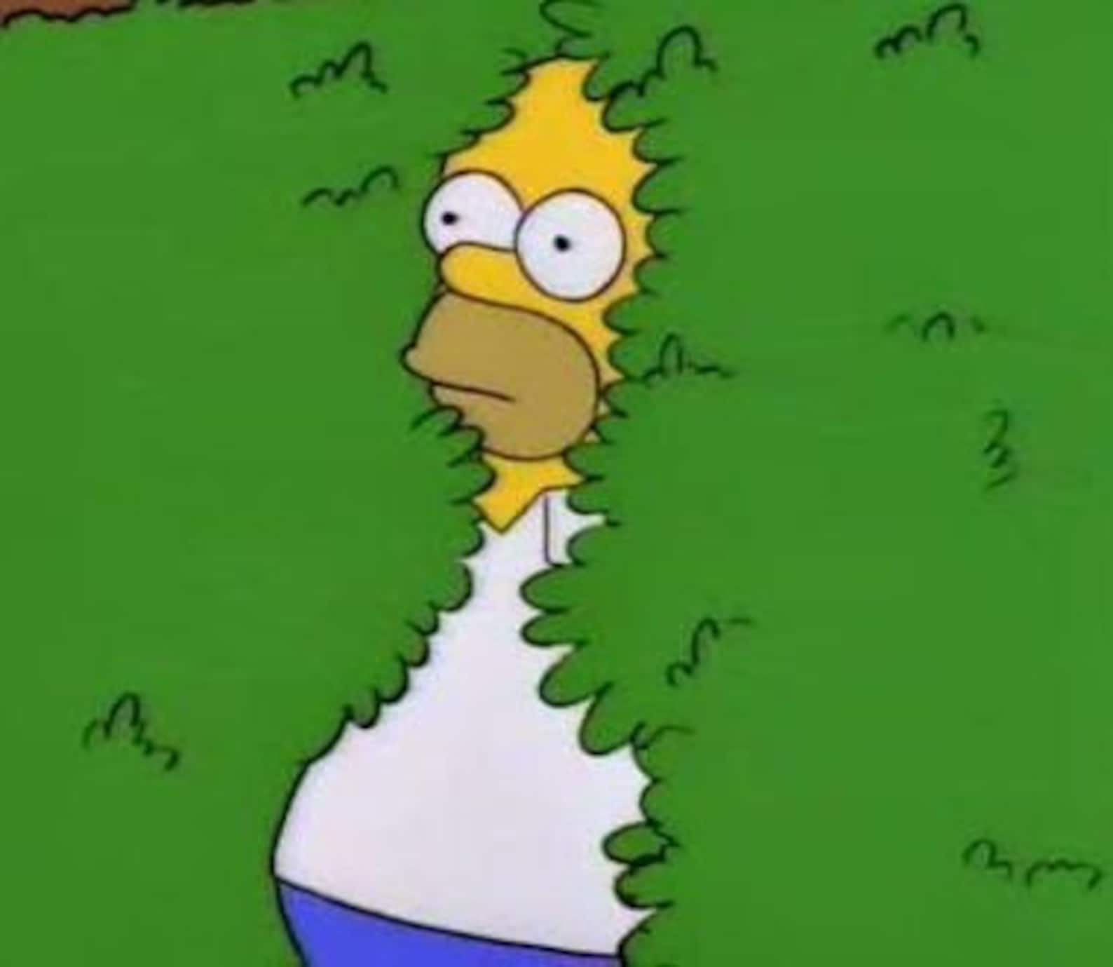 Homer Simpson in the Bushes Full Cross Stitch Kit The | Etsy