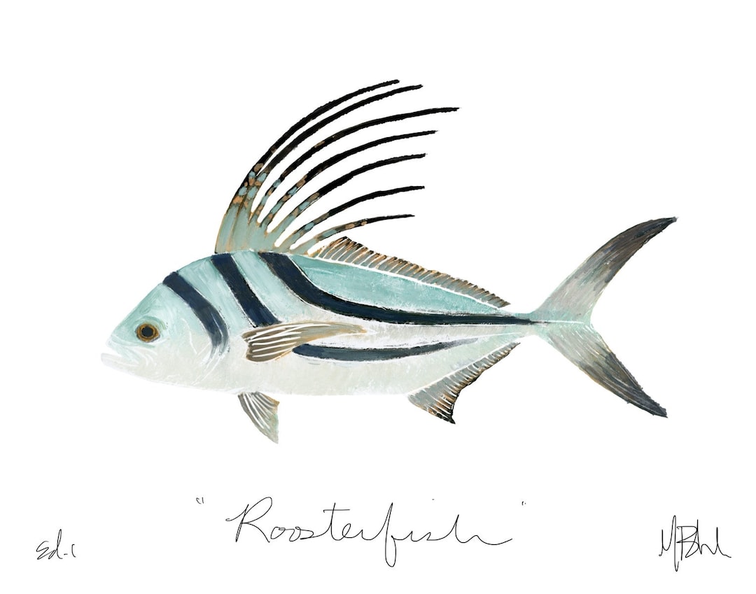 Roosterfish - Etsy