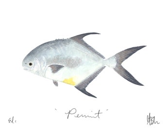 Bic Permit Print 9” X 12” | Fish Art - Etsy