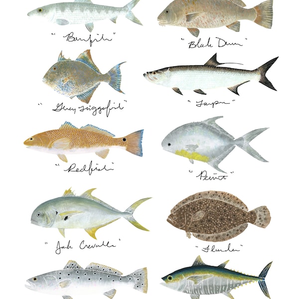 Saltwater Fish Art - Etsy