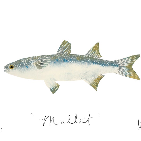 Mullet Art Print - Etsy