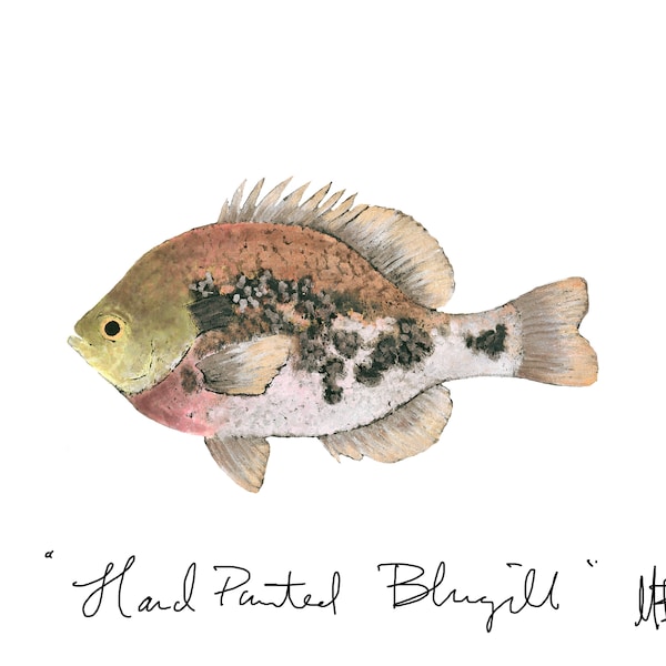 Hand Painted - Etsy