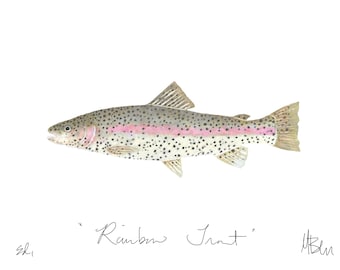 Single Line Rainbow Trout Art Print. - Etsy