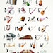 Musical Instruments Alphabet - Printable Alphabet - Instruments ...