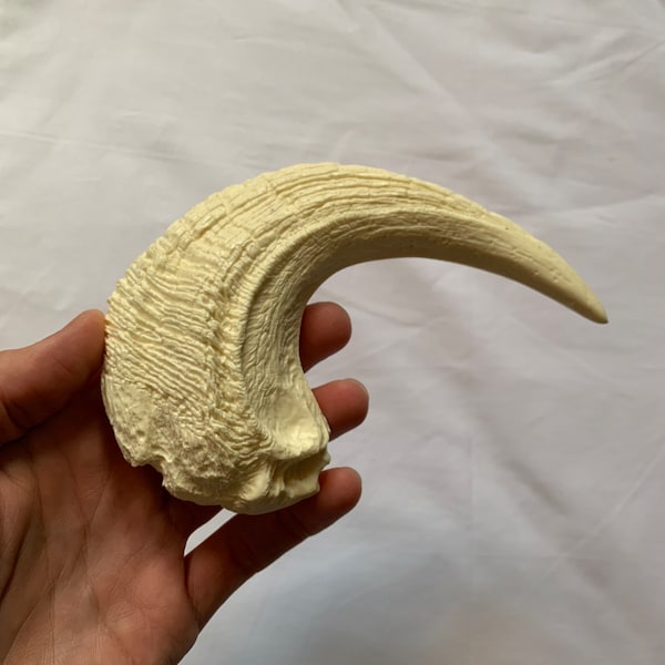 Raptor Claw - Etsy