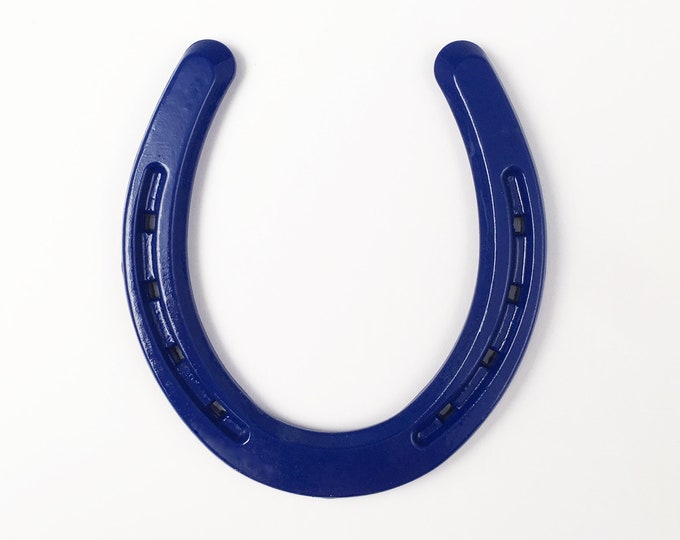 BLUE Horseshoe, Painted Horseshoe, Montana Lucky Horseshoe, Colorful ...